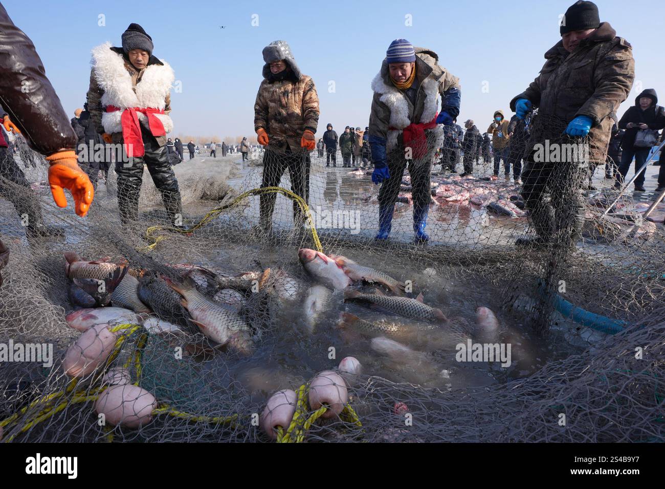 Shenyang, China's Liaoning Province. 11th Jan, 2025. People catch fish ...