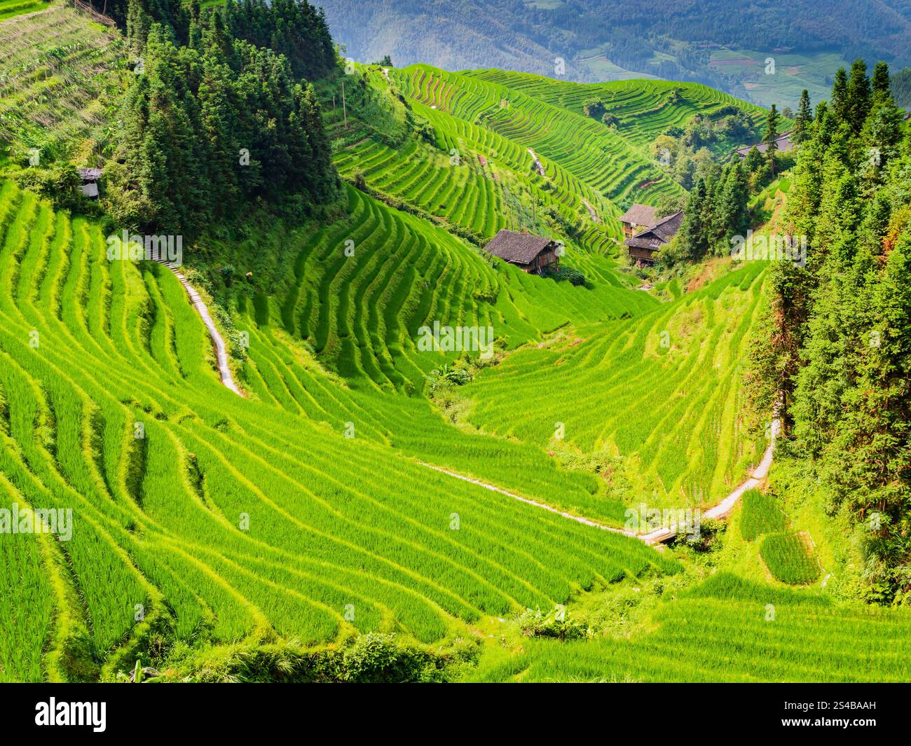 Stunning landscape with terraced rice fields around Longji village ...