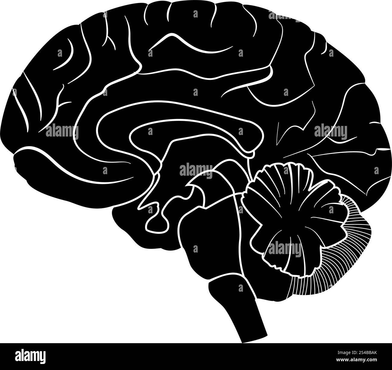 Brain black icon Stock Vector Image & Art - Alamy