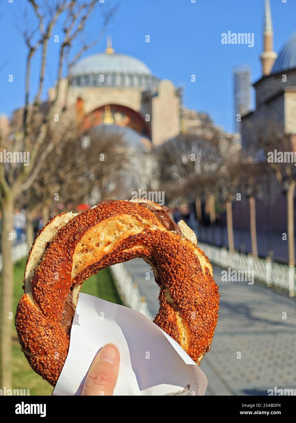 Sultanahmet, Istanbul, Turkiye - november 30,2024: Enjoying the ...
