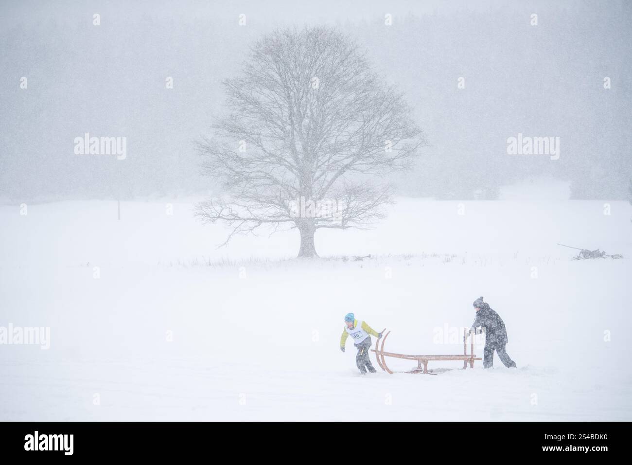Orlicke Zahori, Czech Republic. 11th Jan, 2025. The International Horn ...