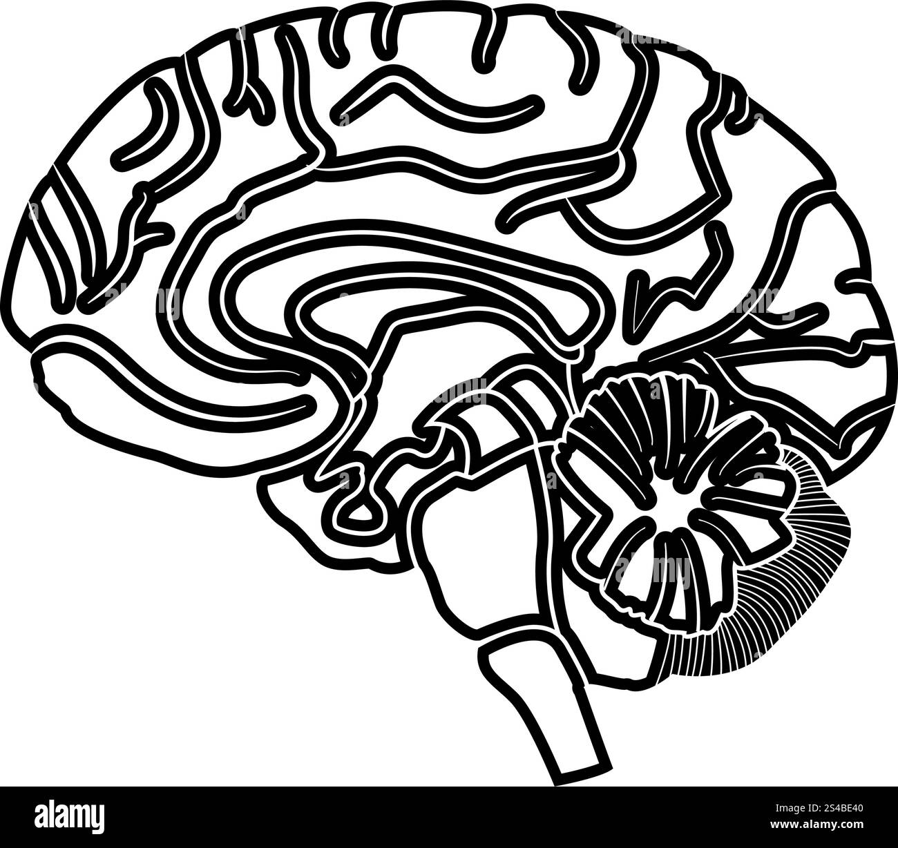 Brain black icon Stock Vector Image & Art - Alamy