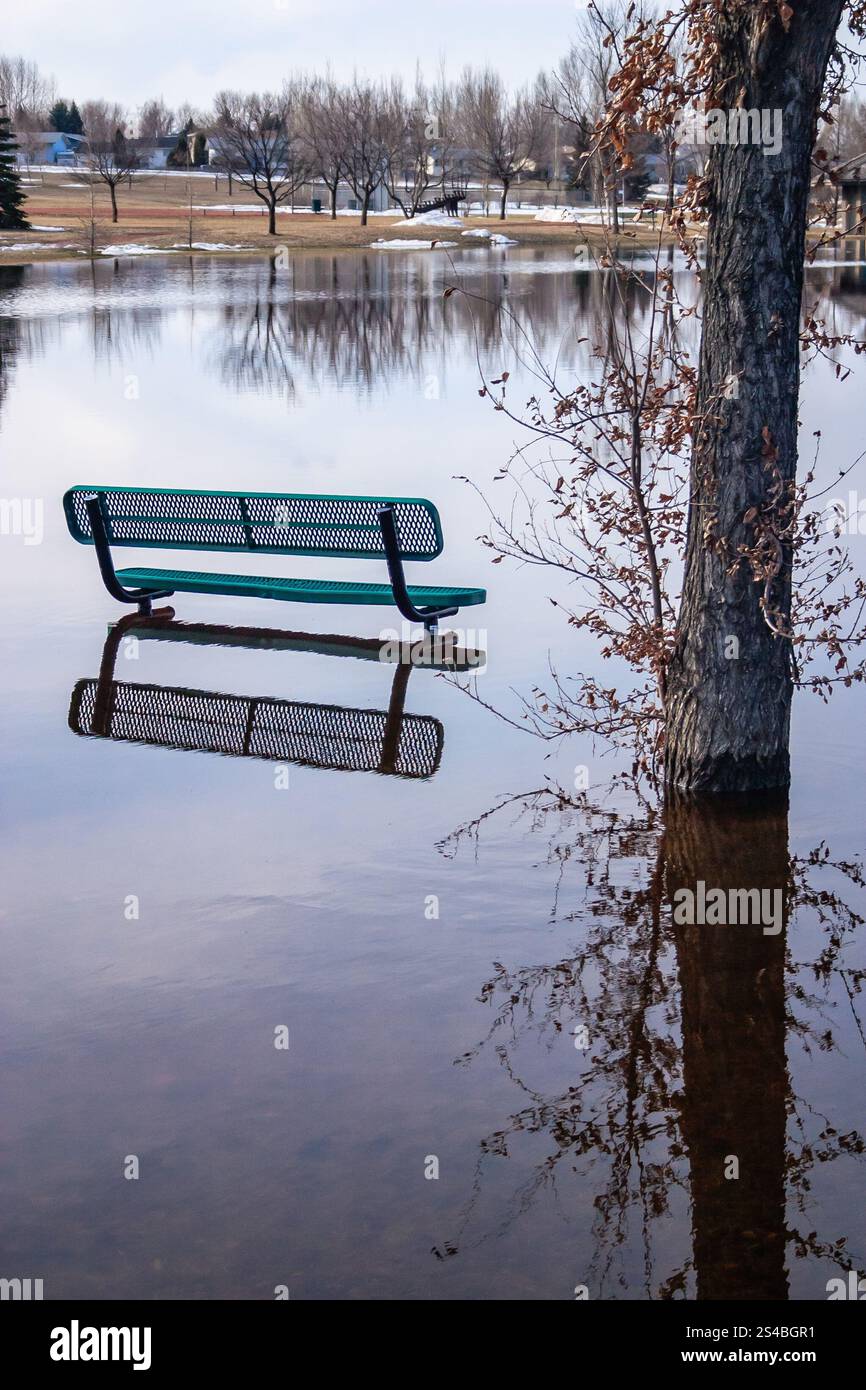 A bench is sitting in a flooded area. The water is murky and the bench ...