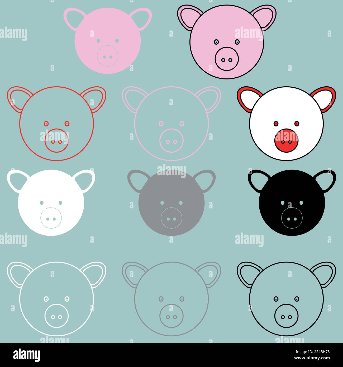Pig face rosy red black grey white colour.. Pig face rosy red black ...