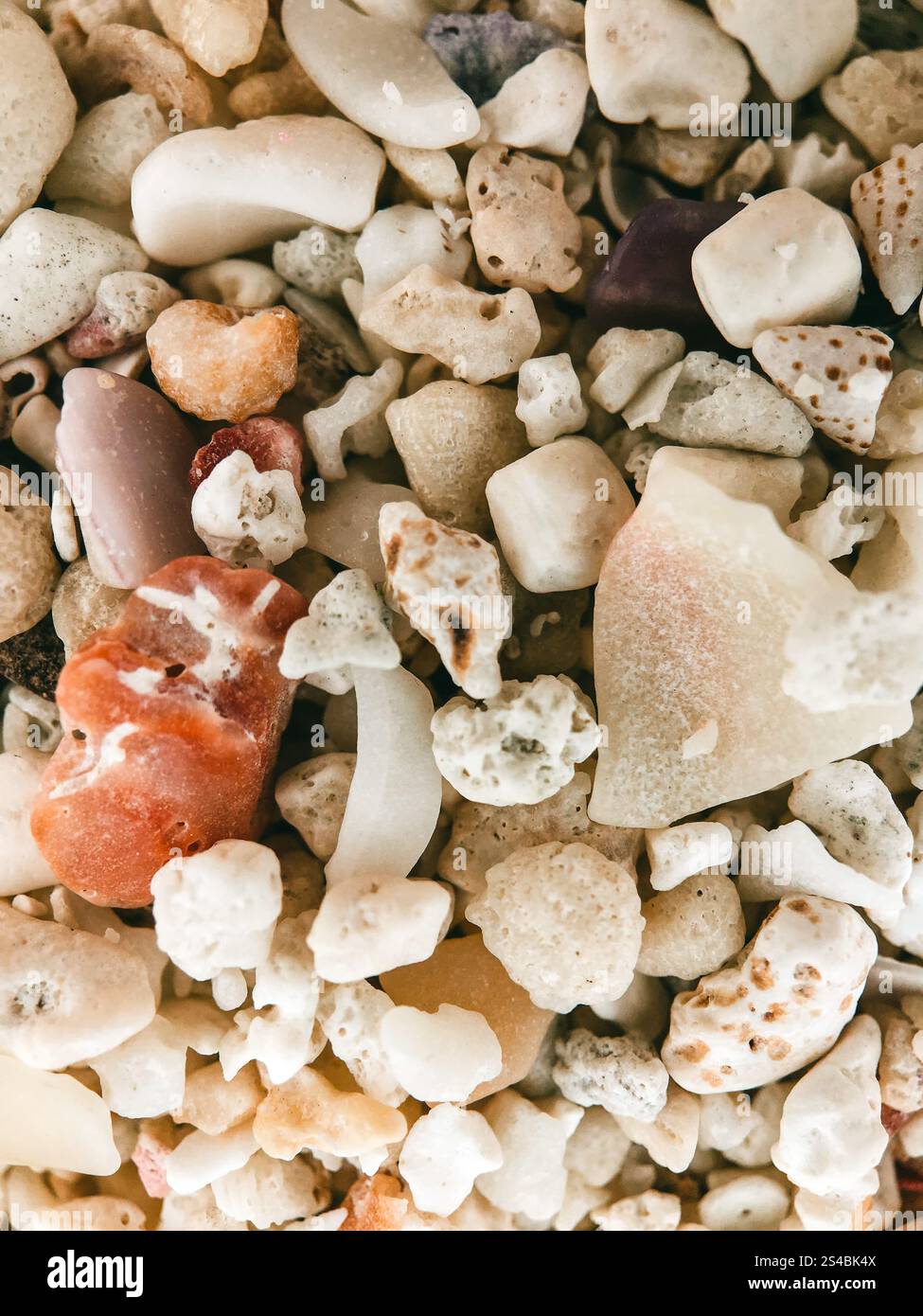 Close-up view of small, broken pieces of coral, shells, and marine ...
