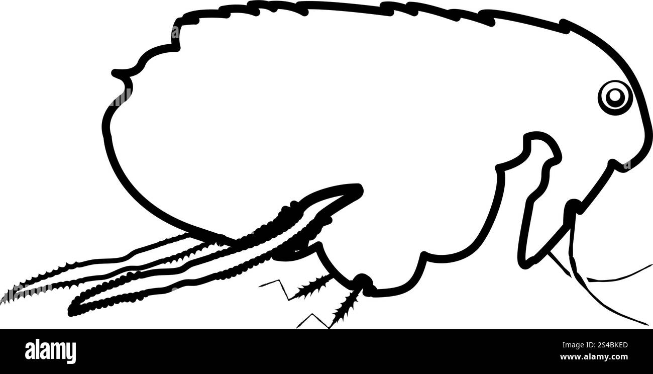 Flea black icon Stock Vector Image & Art - Alamy