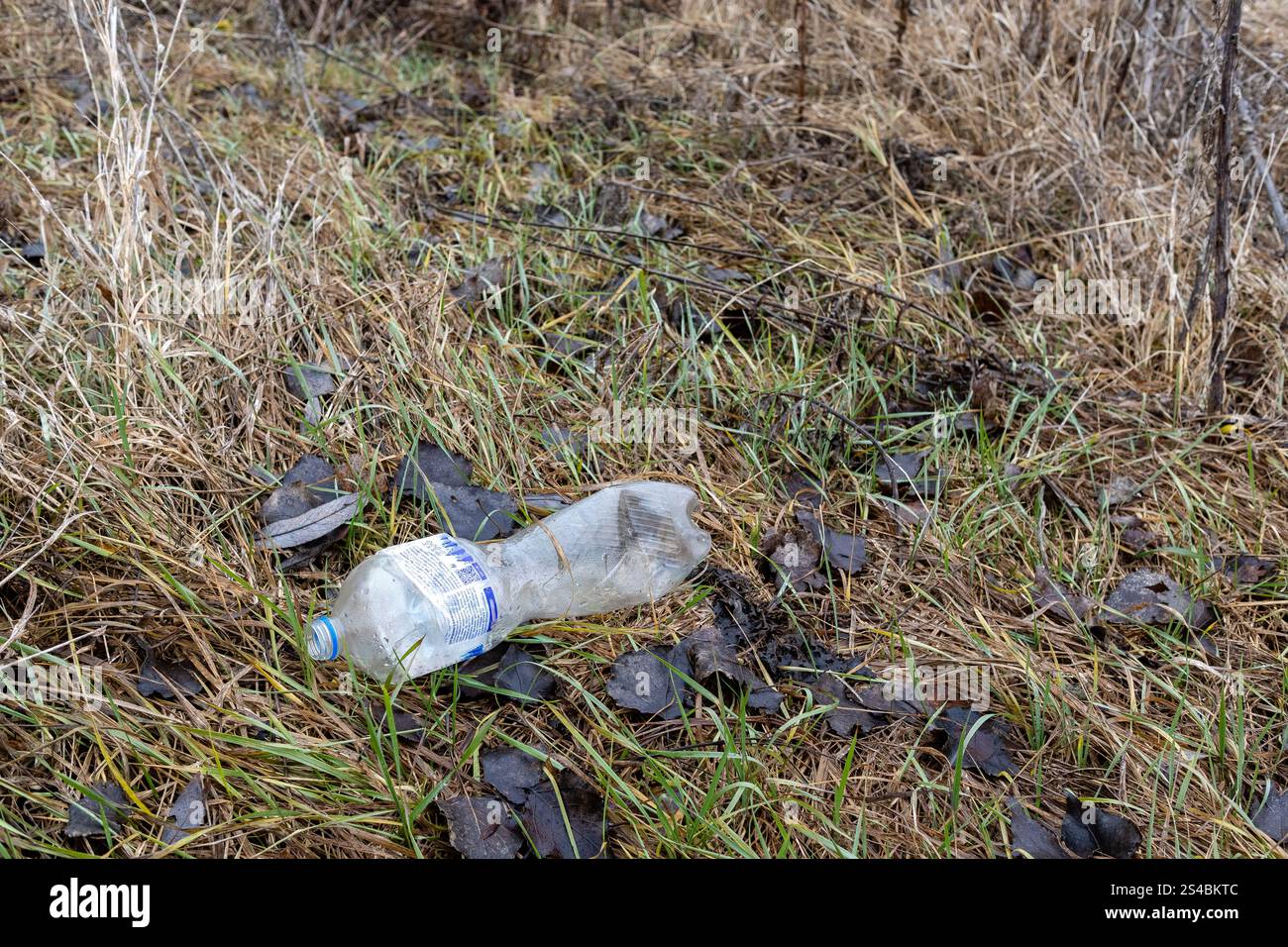 A discarded plastic bottle lies on dry grass and fallen leaves on the ...