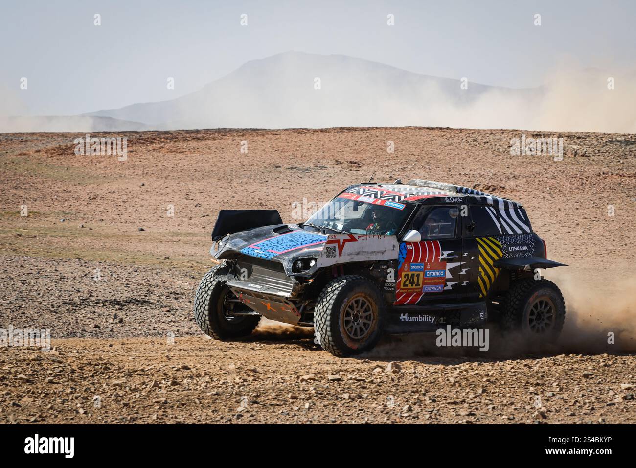 241 JURKEVICIUS Vladas (lto), PALIUKENAS Aisvydas (ltu), Mini, X-Raid Mini JCW Team, Ultimate ...