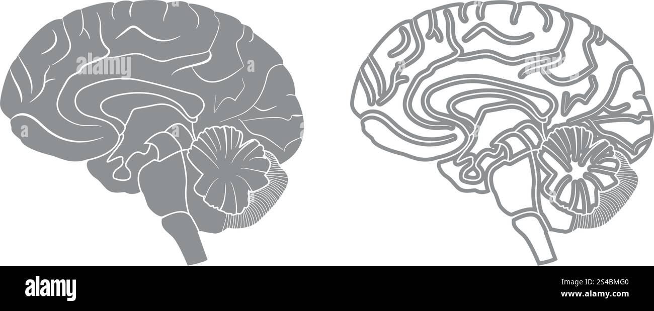 Brain icon. Grey set .. Brain icon. It is grey set Stock Vector Image ...