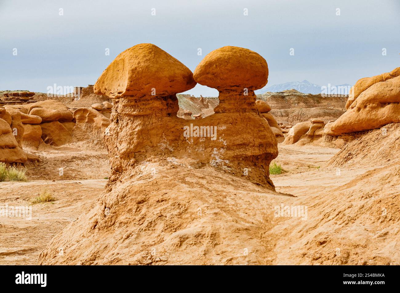 Eroded mushroom-shaped rocks dot the striking desert landscape ...