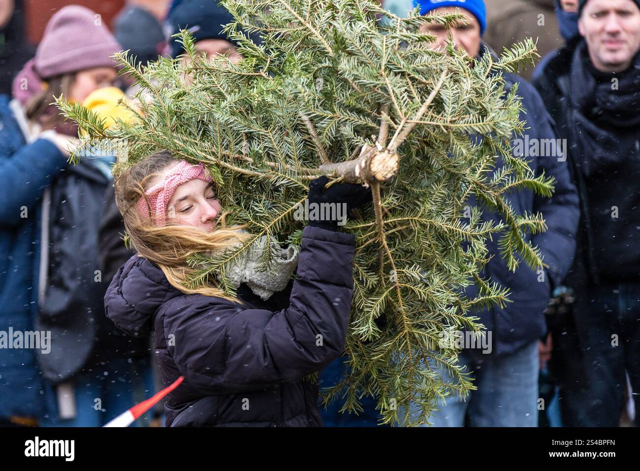 Cottbus, Germany. 11th Jan, 2025. A woman throws a tree at the Ströbitz ...