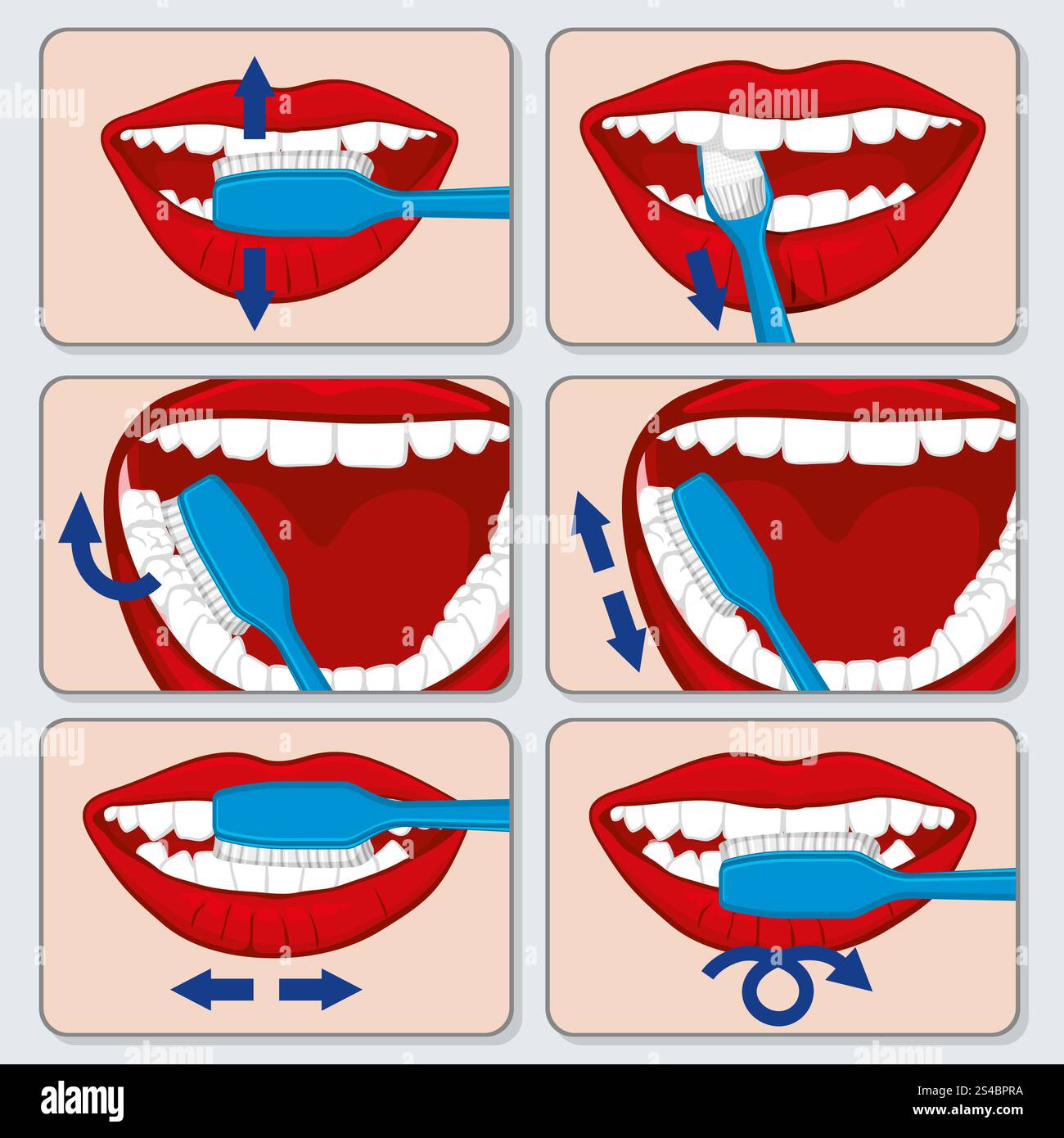 Correct tooth brushing vector infographics. Correct tooth brushing ...