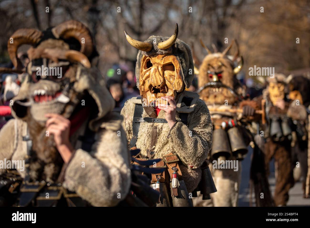 Sofia, Bulgaria - January 05, 2025: Unidentified man in traditional ...
