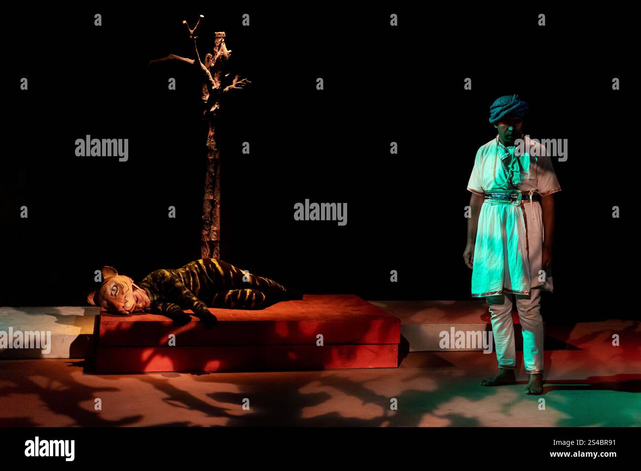 Kathmandu, Kathmandu, Nepal. 11th Jan, 2025. Artists perform the ...