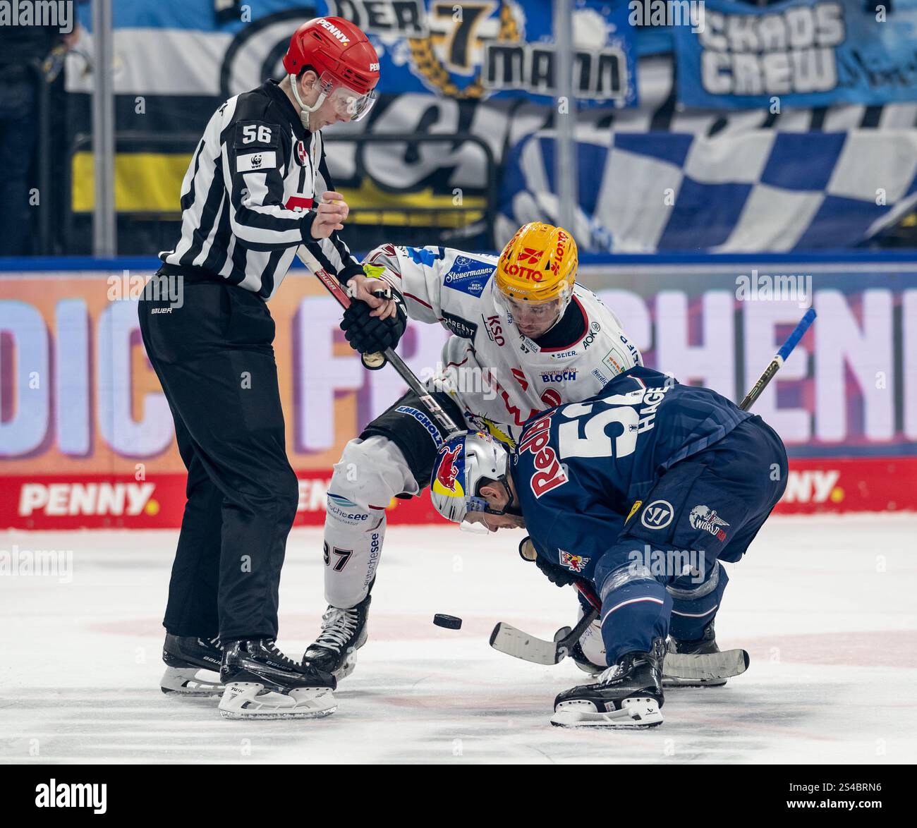Linesperson Yannik Koziol fuehrt ein Bully / Faceoff aus zwischen Markus Vikingstad (Fischtown ...