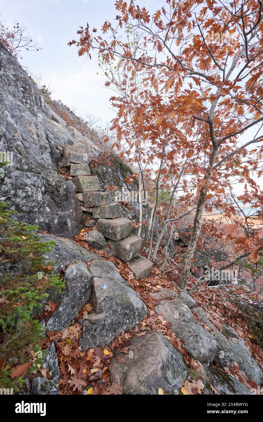 A steep set of stone stairs leading up a steep mountain in Maine. The ...