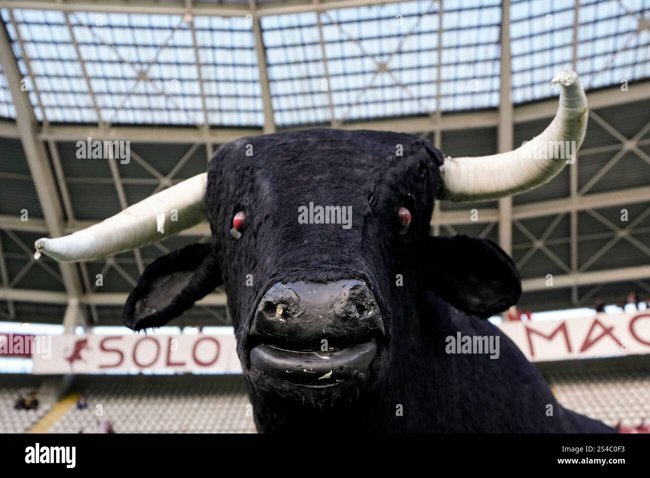 Toro gigante in campo hi-res stock photography and images - Alamy