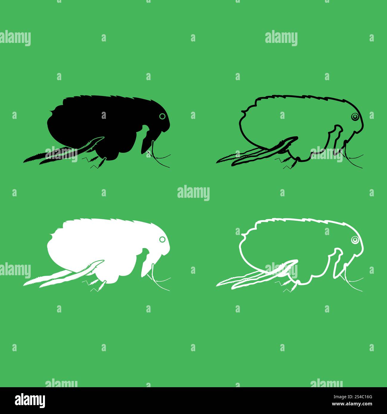Flea icon Black and white color set . Flea icon . Black and white color ...