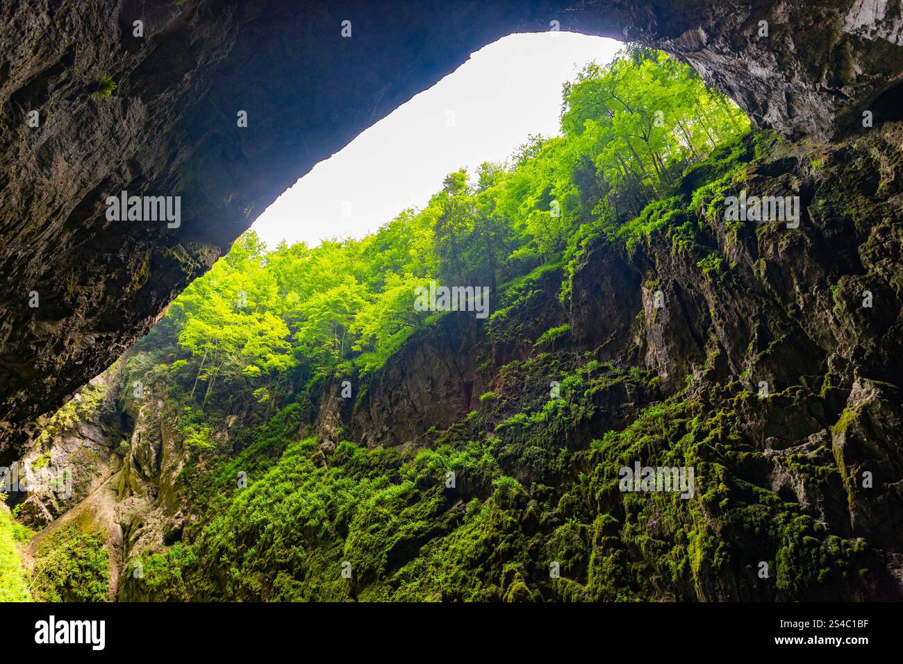 Majestic limestone cliffs surround Macocha Abyss, showcasing vibrant ...