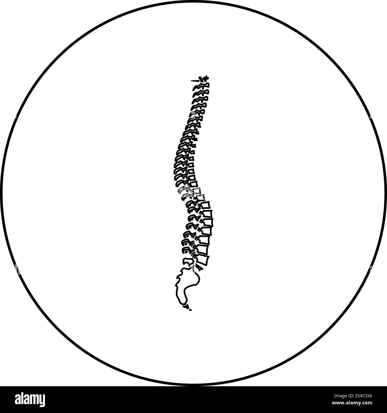 Spine icon black color in circle outline vector illustration Stock ...
