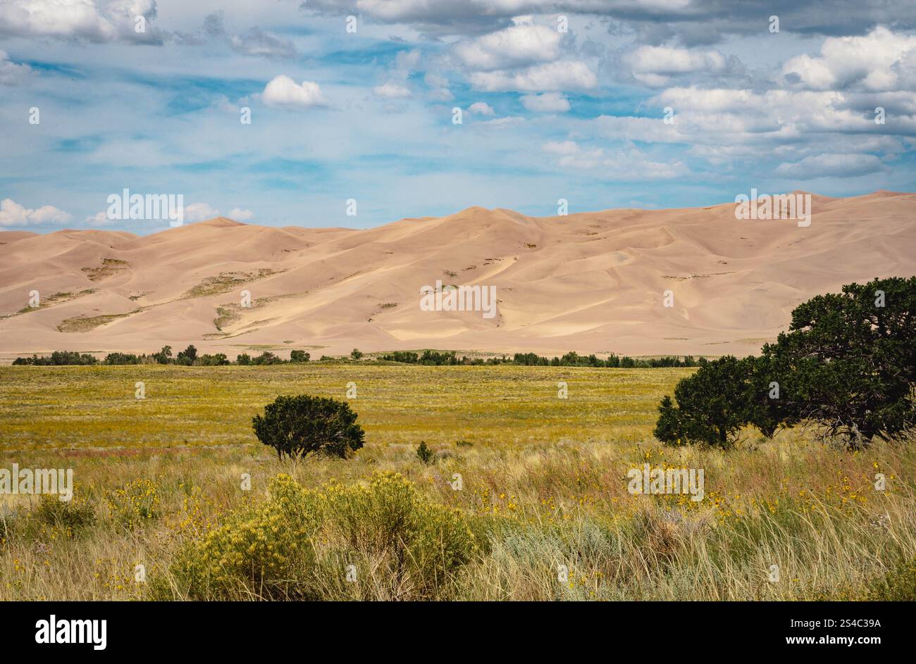 Rolling sand dunes stretch endlessly under a dramatic sky, capturing ...