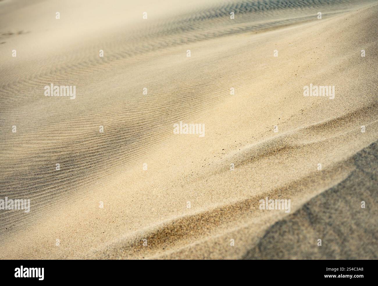 Smooth, rippled sand dunes in Death Valley's arid landscape, with ...
