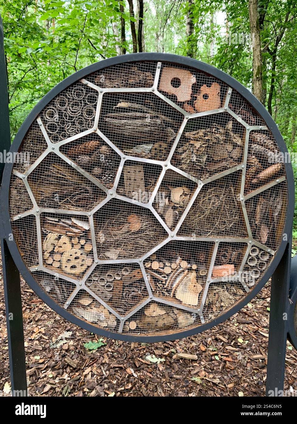 Biodiversity in insects hi-res stock photography and images - Alamy