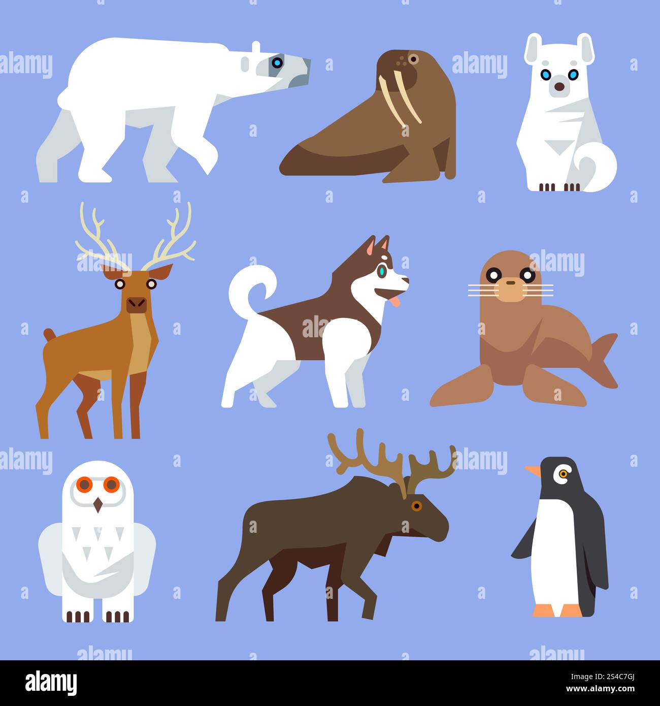 North Arctic or Antarctic animals and birds. Vector flat collection ...