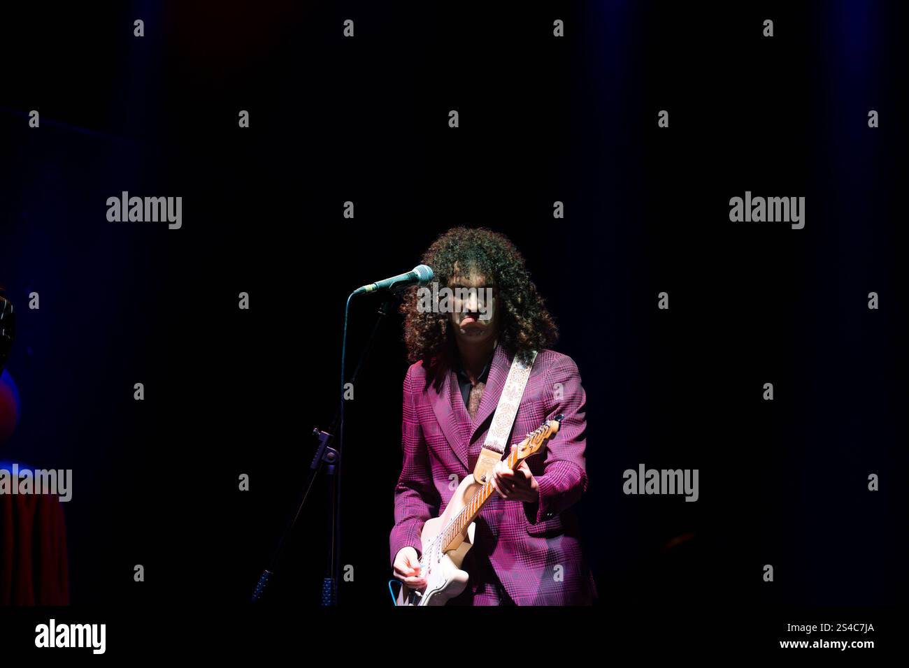 Italian singer Music Concert - Il Solito Dandy - Sesinepa Tour Simone ...