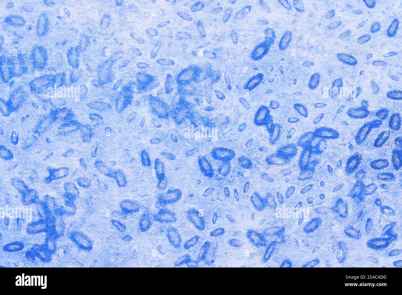 Microscopic view of blue bacterial cells with irregular shapes and ...