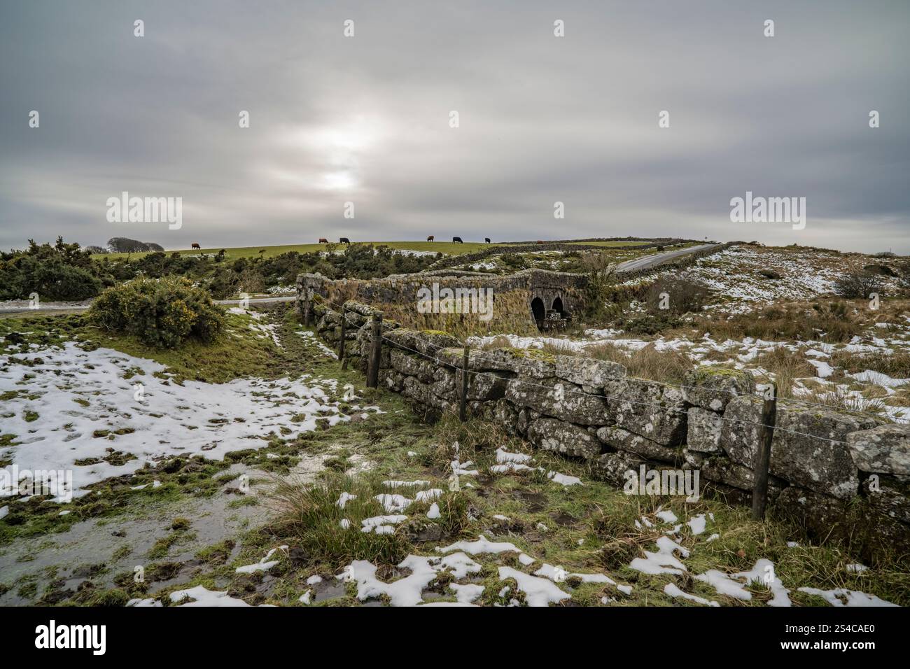 Cherry brook river hi-res stock photography and images - Alamy