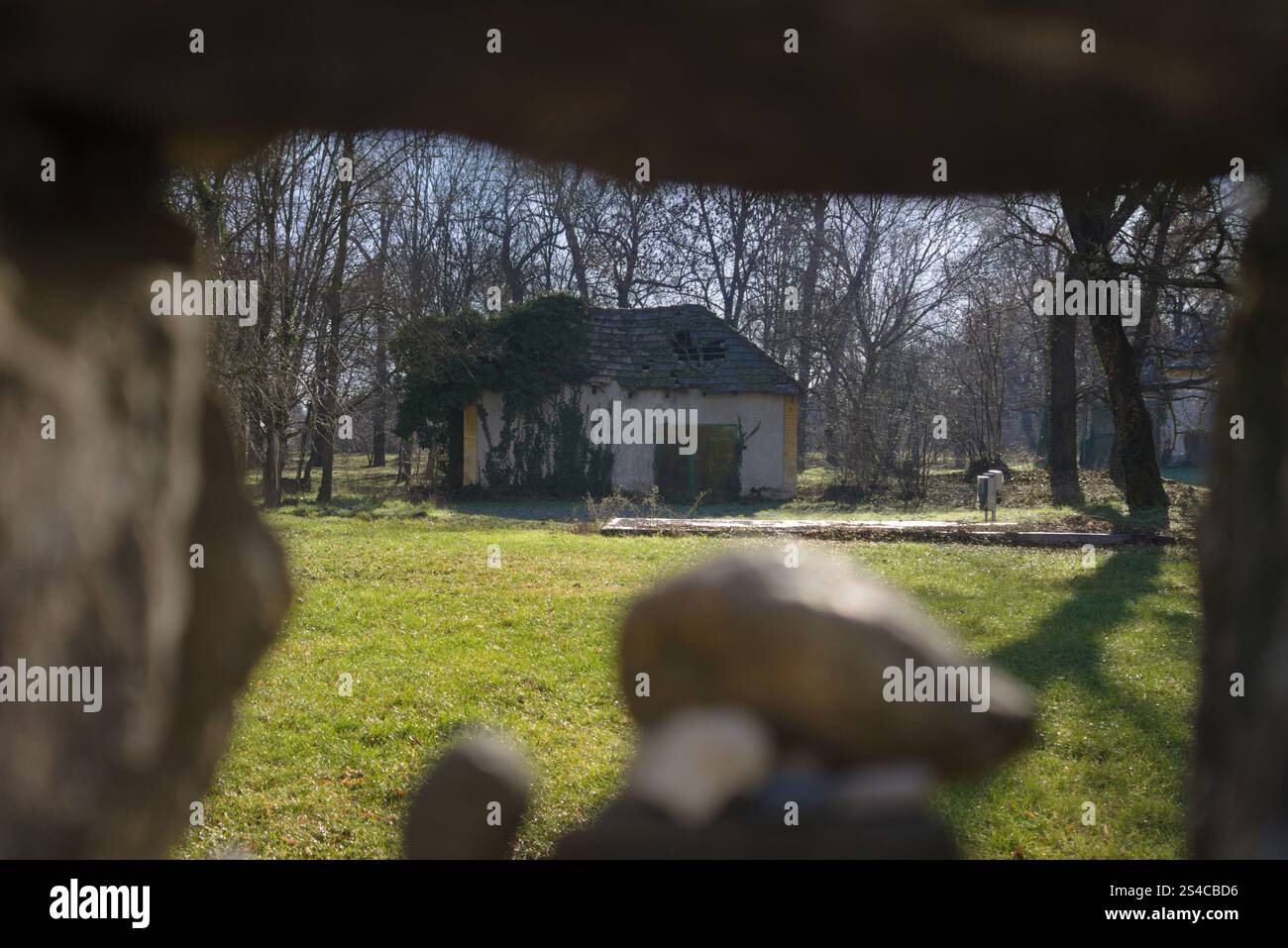 old white house in the woods with bad roof Stock Photo - Alamy