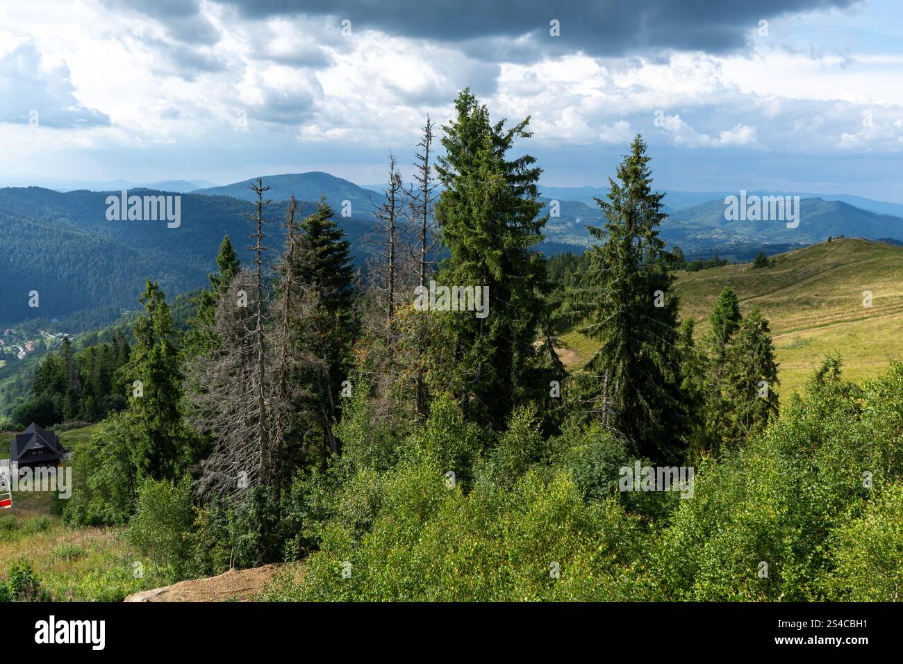 Mountains ranges in the Carpathians. Hills, forest and meadows. Green ...