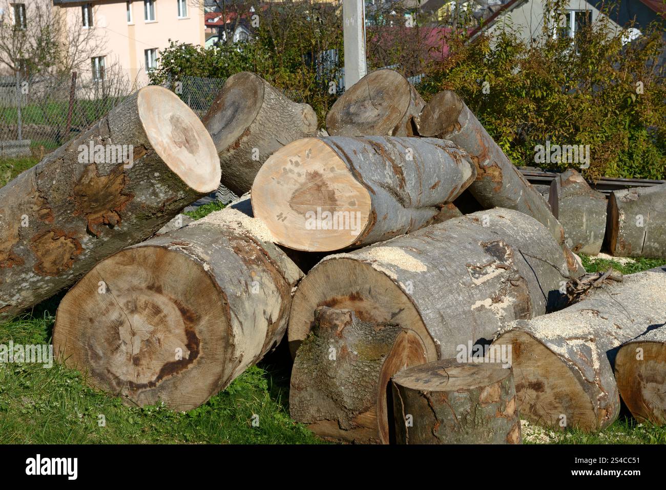 Close-up pile of wood lump logs dumped on the grass for stocking up of ...