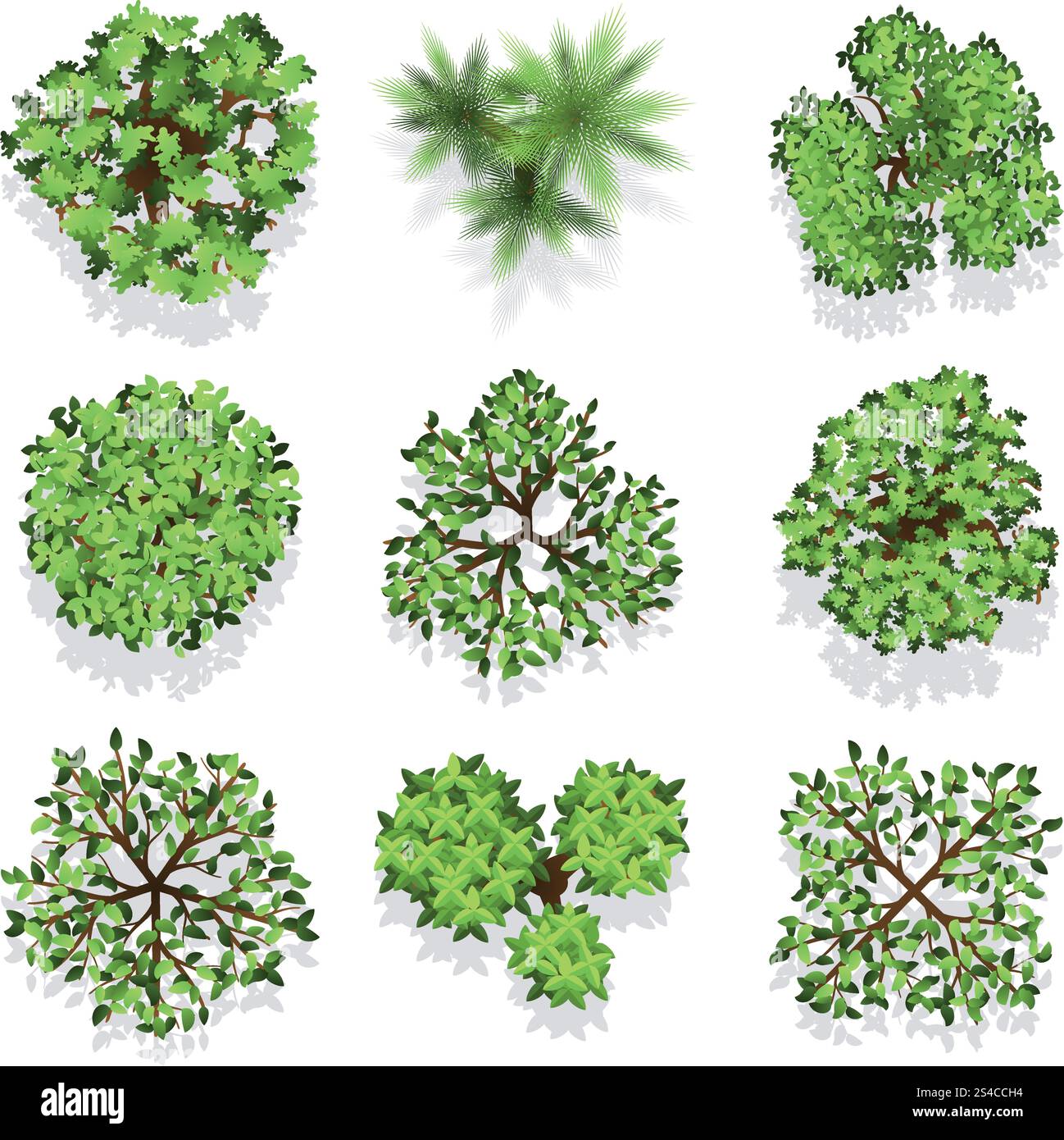 Tree Top View Sketch Trees Top View Entourage Design | Premium Vector