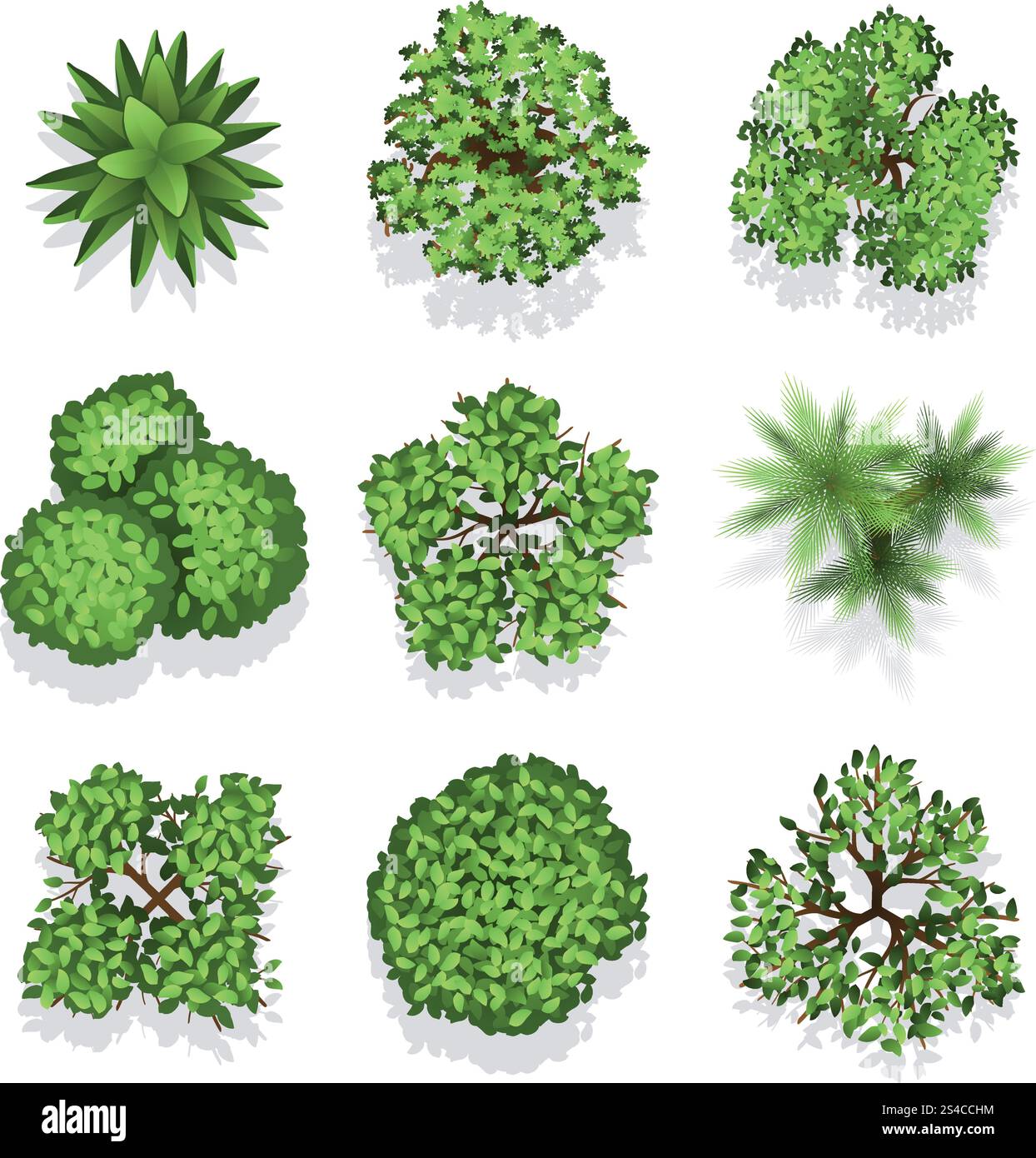 Top view different plants and trees vector set for architectural or ...
