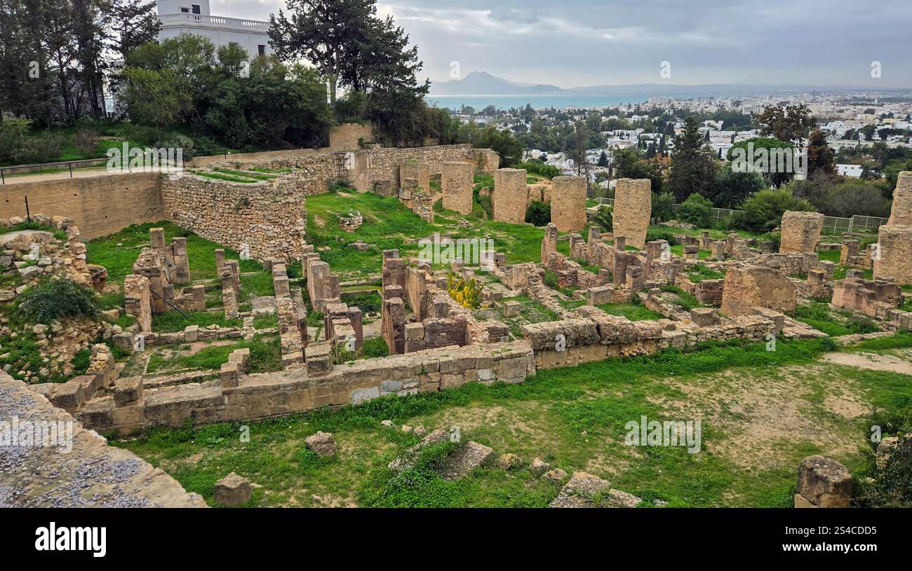 Archaeological site of Carthage with ruins and greenery Stock Photo - Alamy