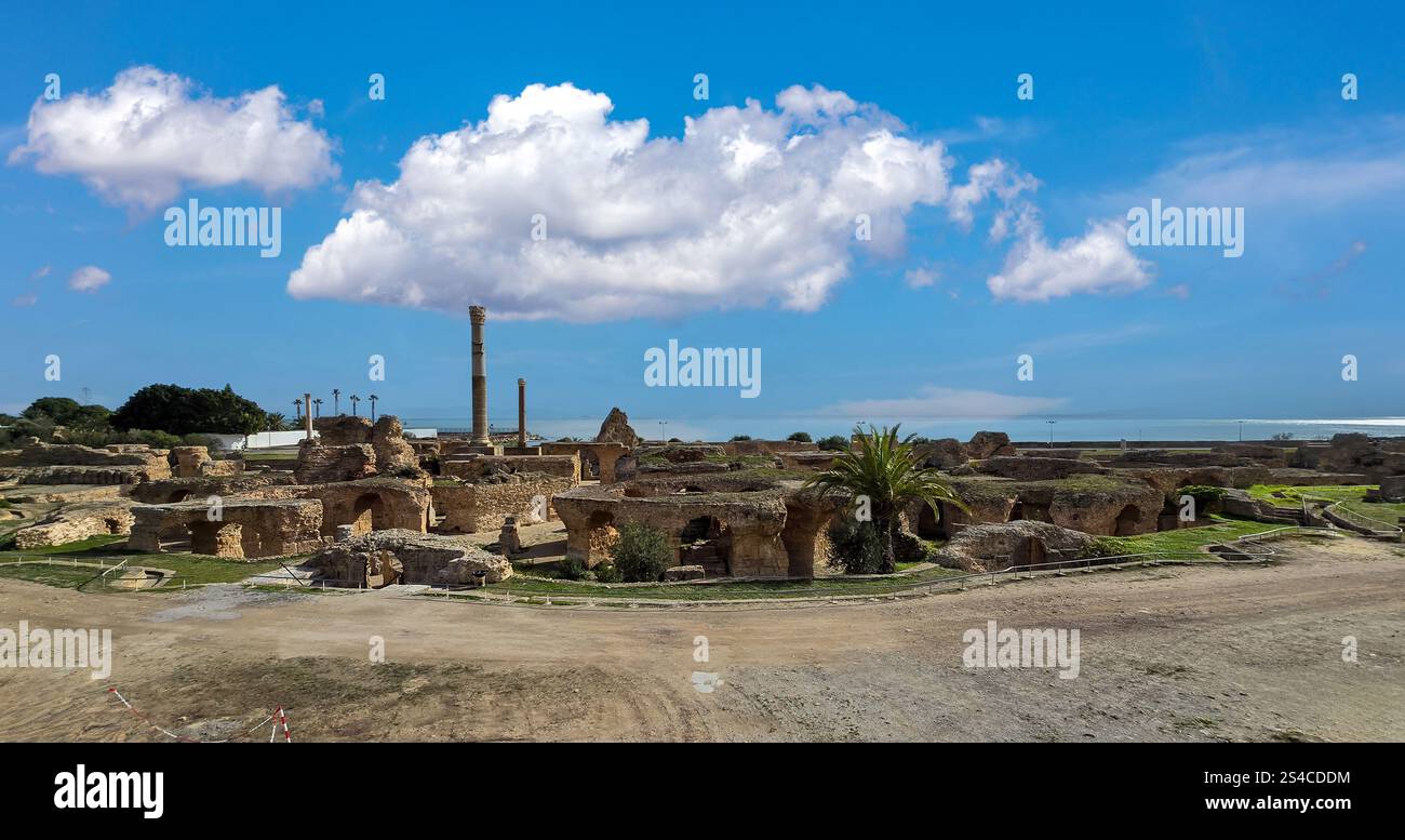 Archaeological site of Carthage with ruins and greenery Stock Photo - Alamy