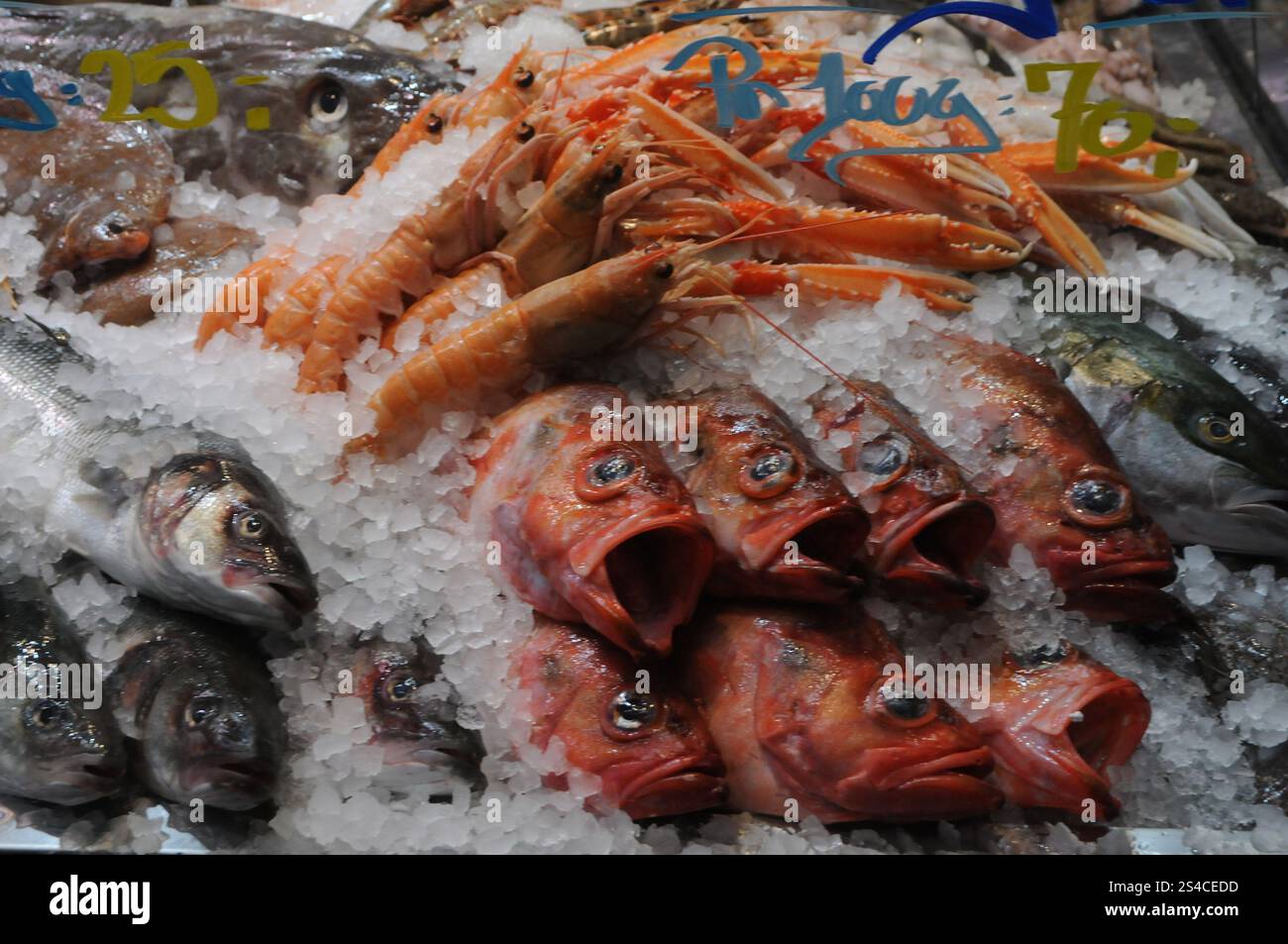 Copenhagen/ DenmarK/11 janaury 2025/ sea food fish shop in danish ...