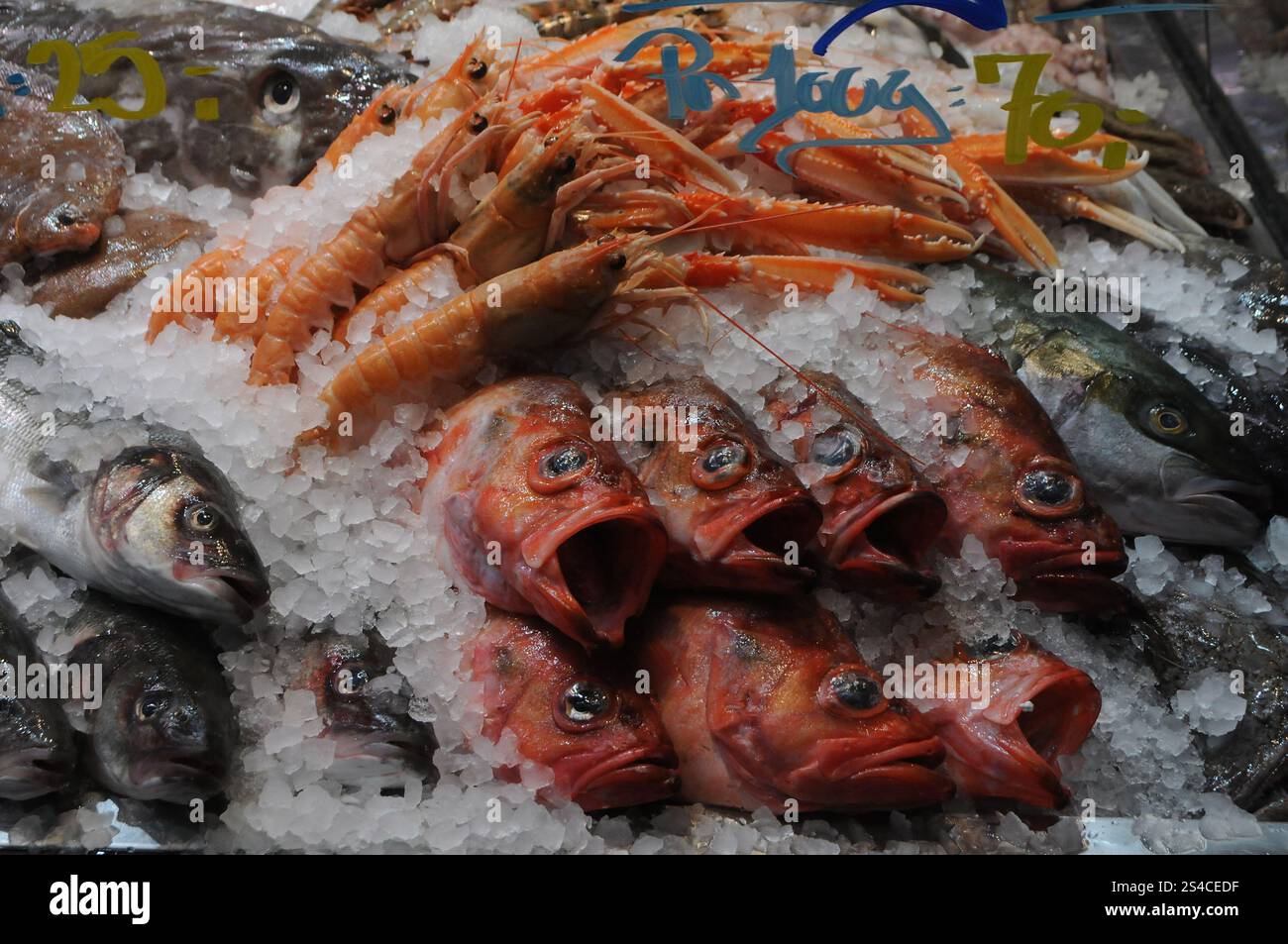 Copenhagen/ DenmarK/11 janaury 2025/ sea food fish shop in danish ...