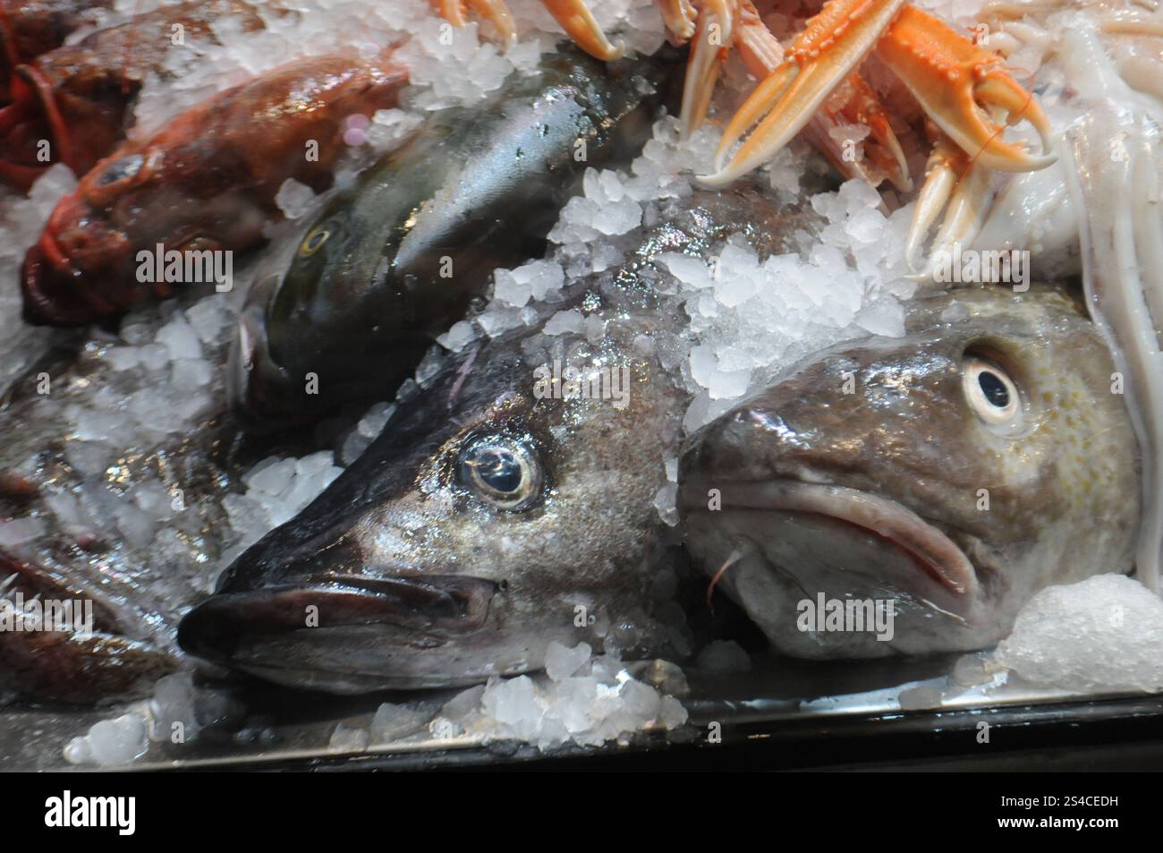 Copenhagen/ DenmarK/11 janaury 2025/ sea food fish shop in danish ...