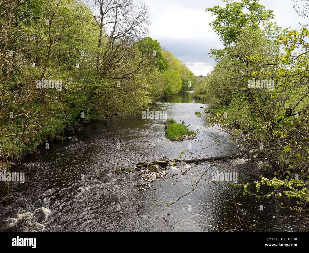 River Gryfe fast flowing due to high water level Stock Photo - Alamy