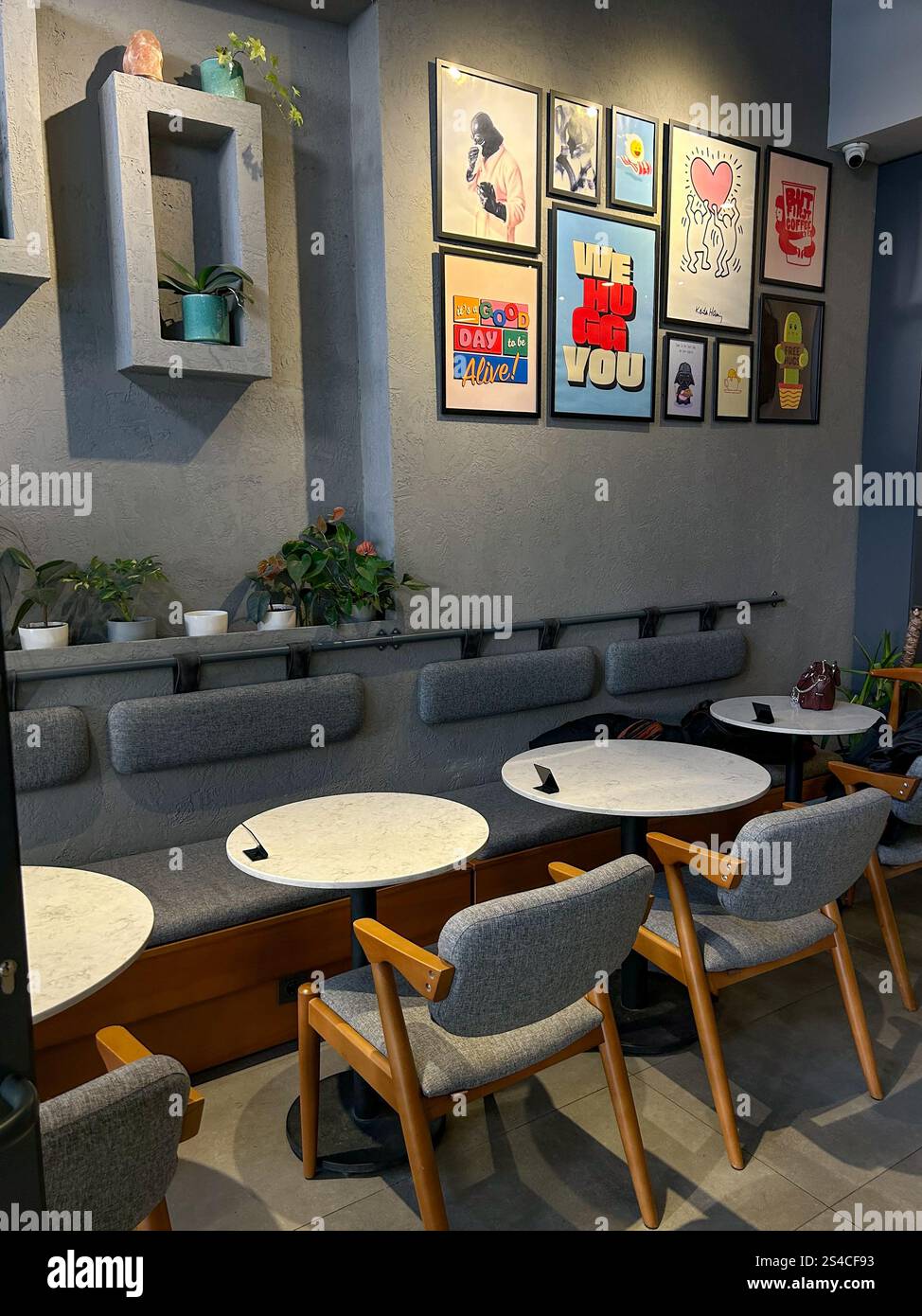 Cozy cafe interior features soft hi-res stock photography and images ...