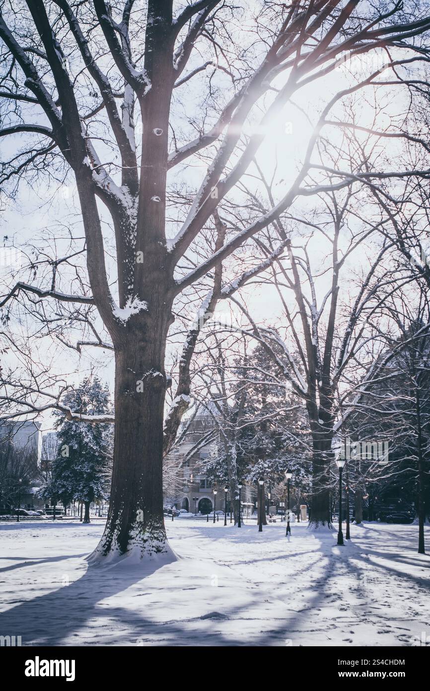 Richmond VA, USA, 11th Jan 2025, Snowfall in Richmond VA from Winter ...