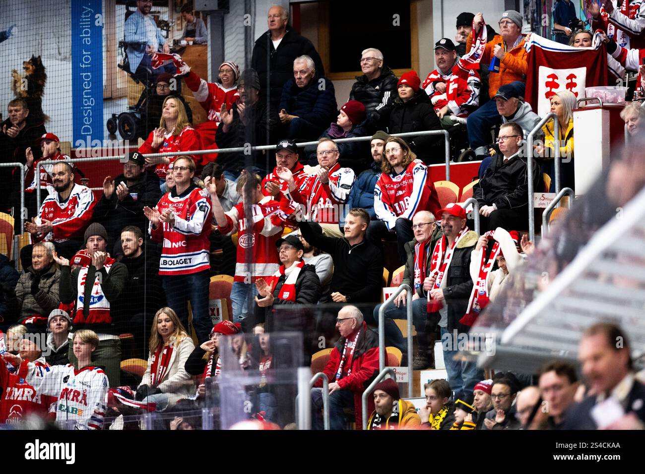 250111 Timråsupportrar jublar under ishockeymatchen i SHL mellan Timrå ...