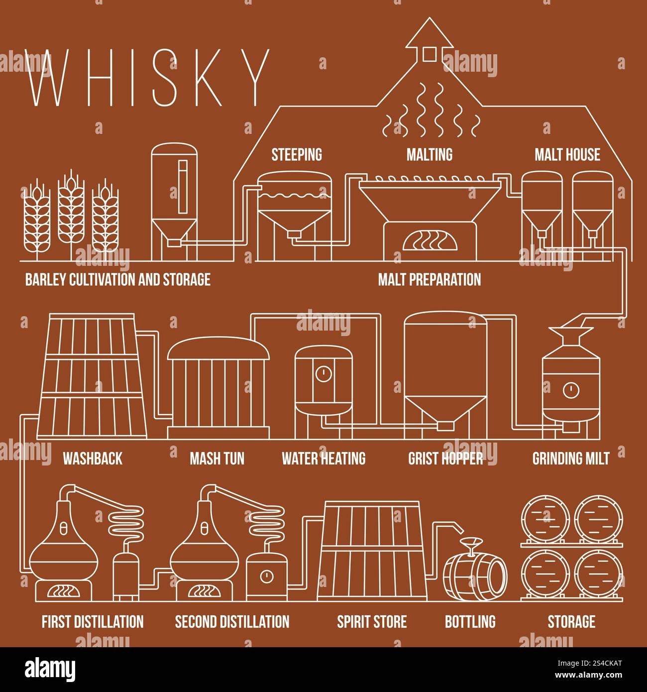 Whiskey production process vector infographic template. Whiskey ...
