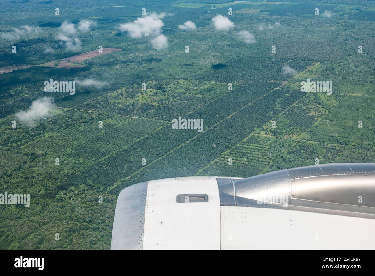 Amazon rainforest in Orellana Province seen from aeroplane window above ...