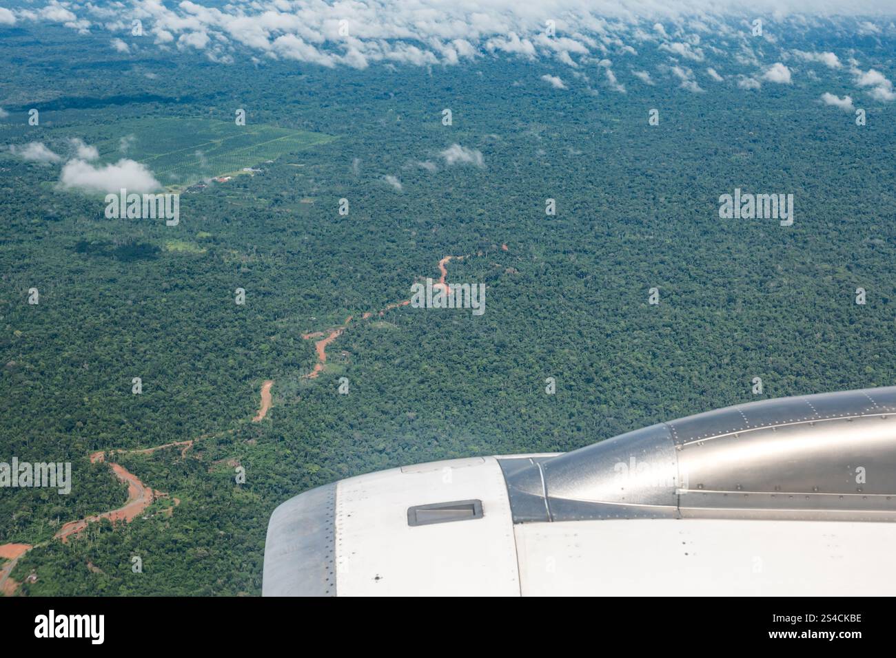 Amazon rainforest with river in Orellana Province seen from aeroplane ...