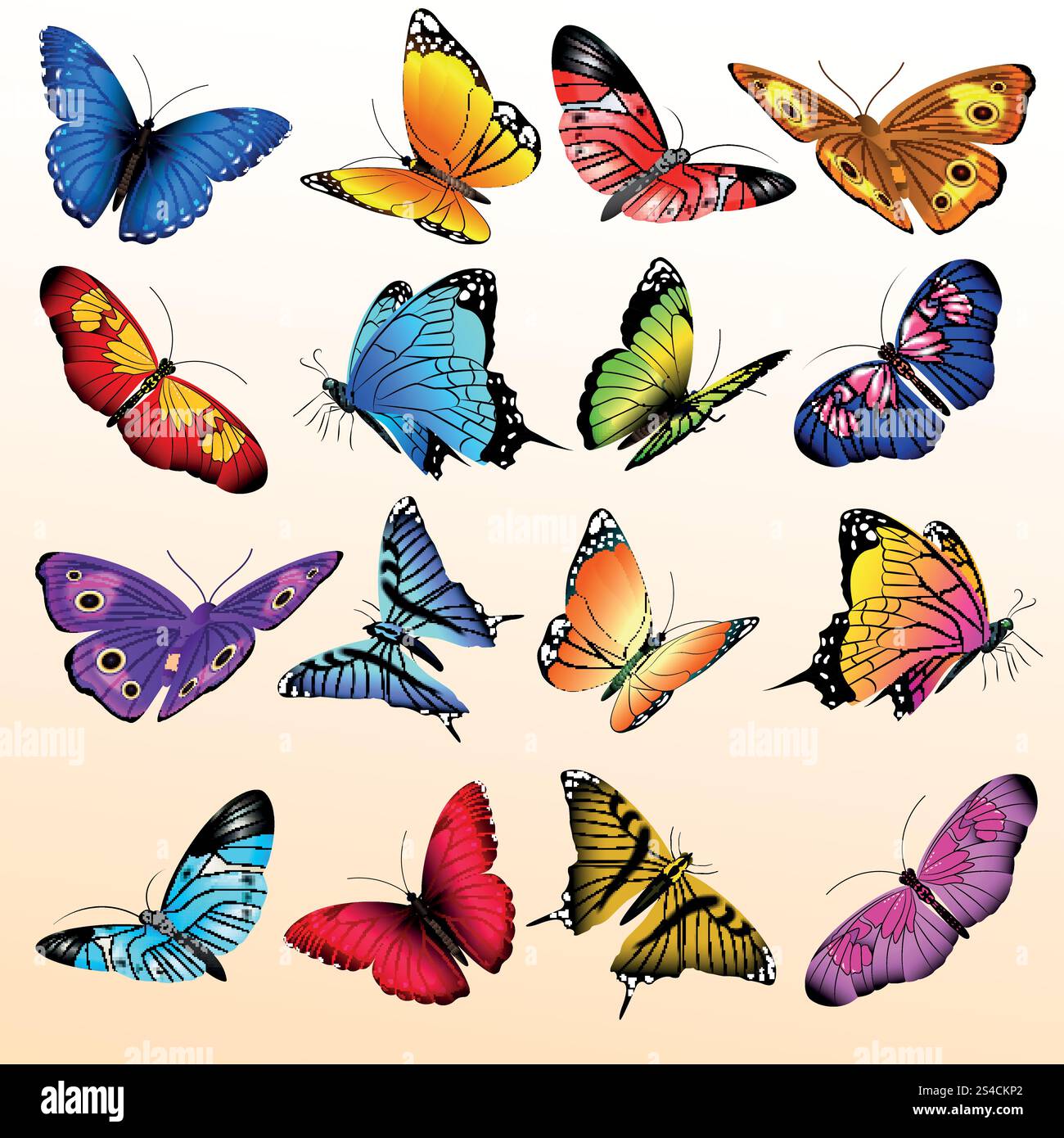 Colorful realistic butterflies big vector set. Colorful realistic ...