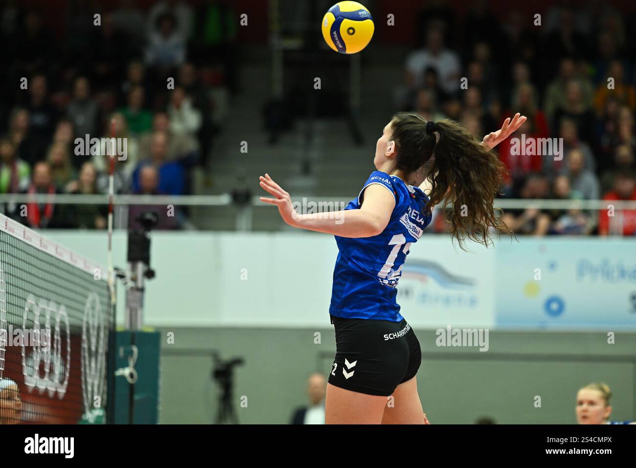 Lucia Varela Gomez (Allianz MTV Stuttgart, #12) Dresdner SC vs. Allianz ...